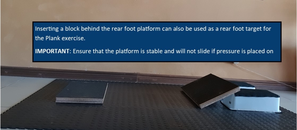 Platform Planks – The Biokinetic K-9